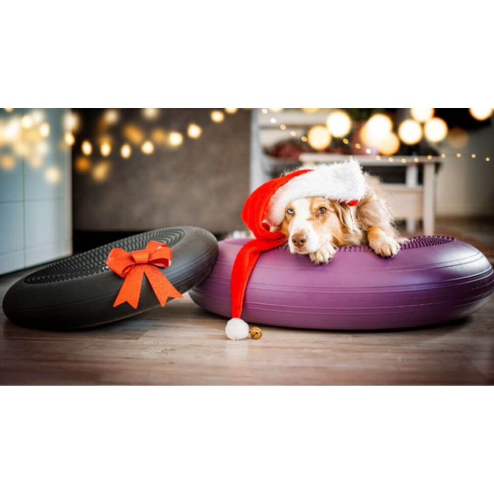 Übrigens sind die Balancekissen auch tolle Geschenke für Hund und ...