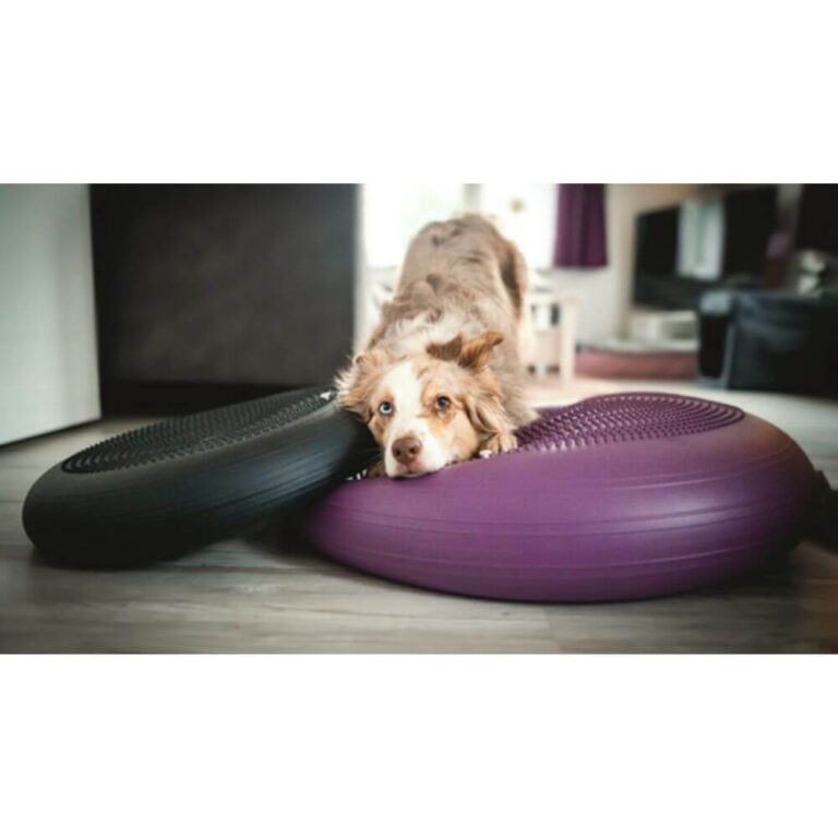 Wie bin ich auf die Marke TOGU aufmerksam geworden?